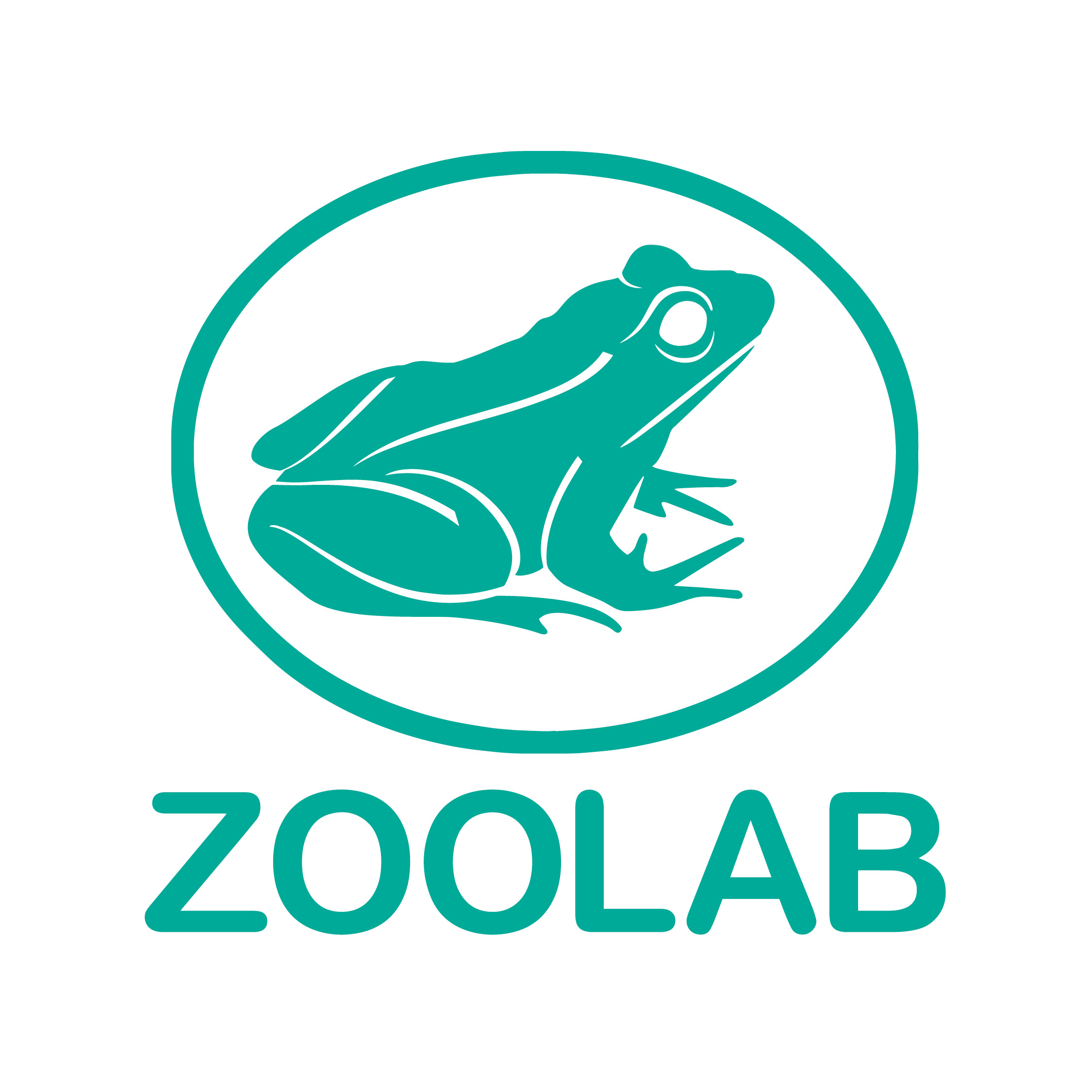 Join in with Zoolab - The Big Bang